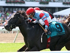 Brave Dave - Horse Profile - BloodHorse