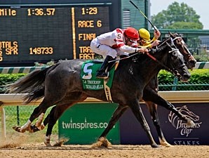 Unrivaled Belle - Horse Profile - BloodHorse