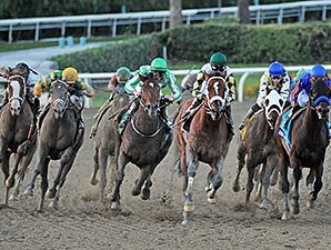 Mucho Macho Man - Horse Profile - BloodHorse