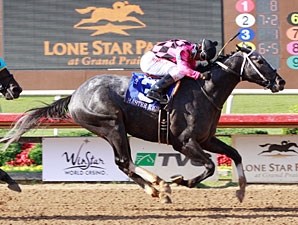 Master Rick - Horse Profile - BloodHorse