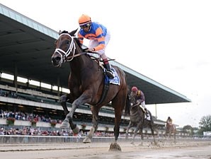 Uncle Mo - Horse Profile - BloodHorse