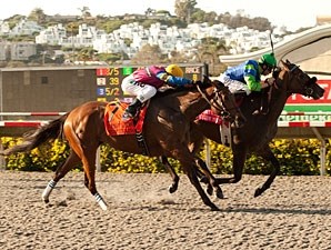 Include Me Out - Horse Profile - BloodHorse