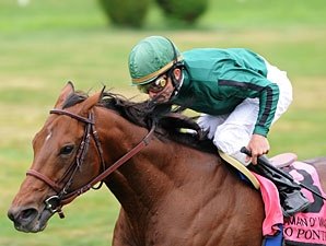 Gio Ponti to Stand at Castleton Lyons - BloodHorse
