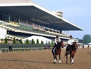 Orb - Horse Profile - BloodHorse