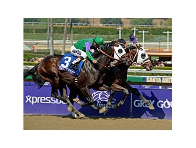 Hightail Captures Juvenile Sprint for Lukas - BloodHorse