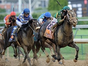 Pool Play - Horse Profile - BloodHorse