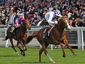 Dawn Approach (IRE) - Horse Profile - BloodHorse