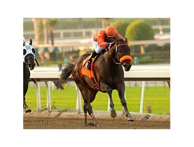 Uh Oh Bango Shoots to San Pasqual Victory - BloodHorse