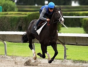 Jackson Bend - Horse Profile - BloodHorse