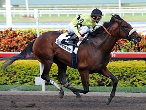 Quality Road - Horse Profile - BloodHorse