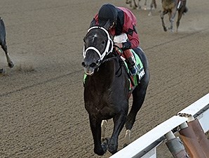 Cairo Prince - Horse Profile - BloodHorse
