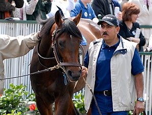 Colonel John - Horse Profile - BloodHorse