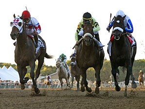 Morning Line - Horse Profile - BloodHorse