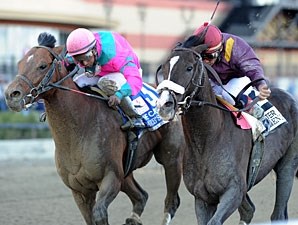 Jackson Bend - Horse Profile - BloodHorse