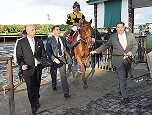 Ring Weekend - Horse Profile - BloodHorse