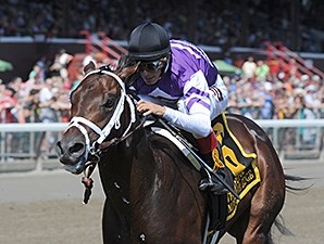 Competitive Edge - Horse Profile - BloodHorse