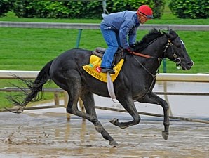 Archarcharch - Horse Profile - BloodHorse