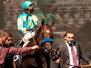 Paynter Works Toward Woodward Stakes - BloodHorse
