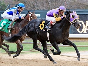 Archarcharch - Horse Profile - BloodHorse