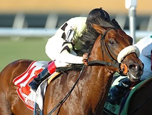 Quality Road - Horse Profile - BloodHorse