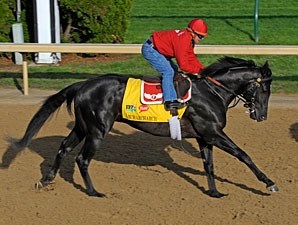 Archarcharch - Horse Profile - BloodHorse