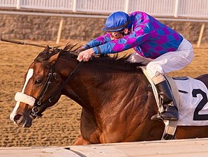Whiskey Romeo Goes for Grade in Jersey Shore - BloodHorse