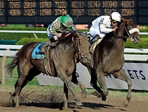 Colonel John - Horse Profile - BloodHorse