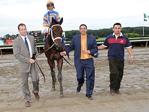 Uncle Mo - Horse Profile - BloodHorse