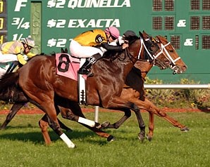 Dreaming of Anna - Horse Profile - BloodHorse