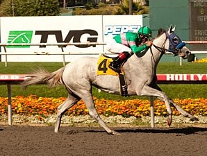 Zazu - Horse Profile - BloodHorse