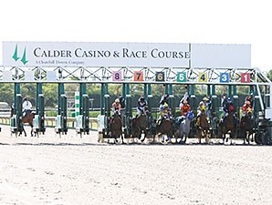 Joint Return - Horse Profile - BloodHorse