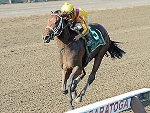 Cavorting - Horse Profile - BloodHorse