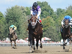 Competitive Edge - Horse Profile - BloodHorse