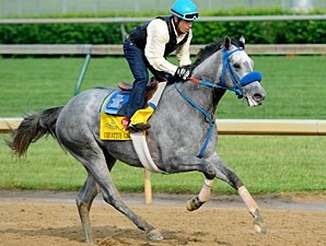Creative Cause - Horse Profile - BloodHorse