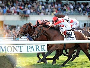 Little Mike - Horse Profile - BloodHorse