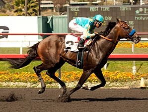 Paynter - Horse Profile - BloodHorse