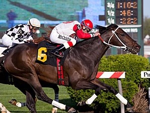 Baltimore Bob - Horse Profile - BloodHorse