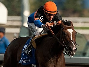 Strut the Course - Horse Profile - BloodHorse