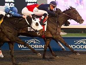 Blue Heart - Horse Profile - BloodHorse