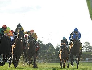 Ring Weekend - Horse Profile - BloodHorse