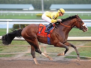 Union Rags - Horse Profile - BloodHorse
