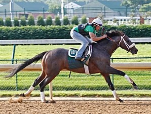 Oxbow - Horse Profile - BloodHorse