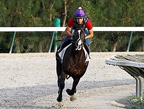Jackson Bend - Horse Profile - BloodHorse