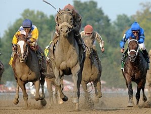 Jackson Bend - Horse Profile - BloodHorse