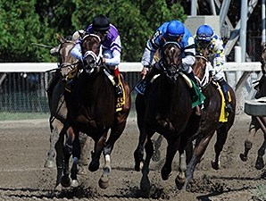 Competitive Edge - Horse Profile - BloodHorse