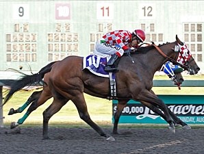 Taylor Said - Horse Profile - BloodHorse