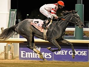 Unrivaled Belle - Horse Profile - BloodHorse