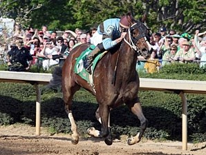 Tiz Miz Sue - Horse Profile - BloodHorse