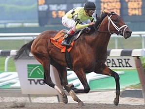 Quality Road - Horse Profile - BloodHorse