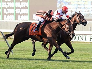 Little Mike - Horse Profile - BloodHorse